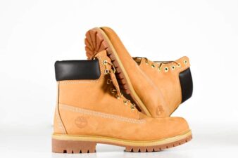 Timberland Basic vs Premium: I Test and Compare Both