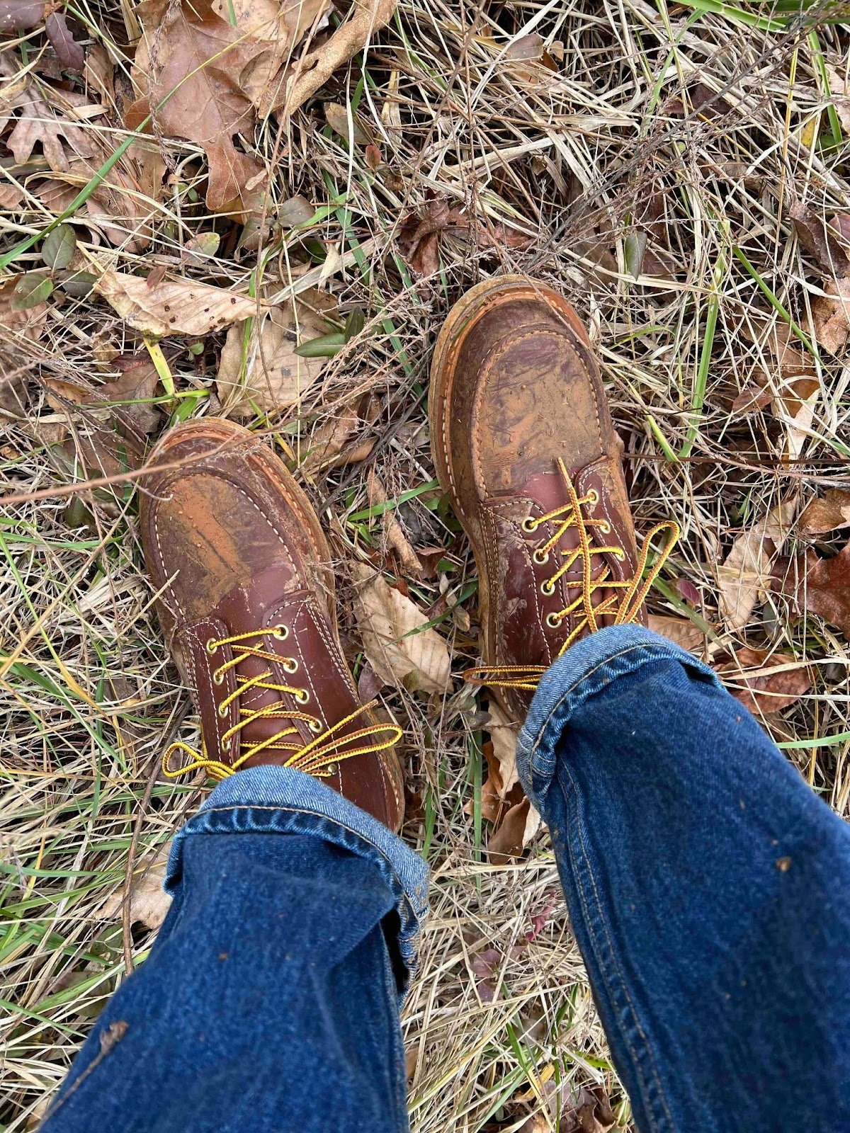 White’s Perry Moc Toe Review: The PNW Moc